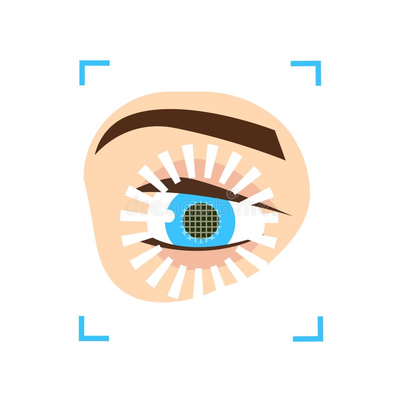 Iris Scan - Biometric Authentication Method Diagram, Vector ...