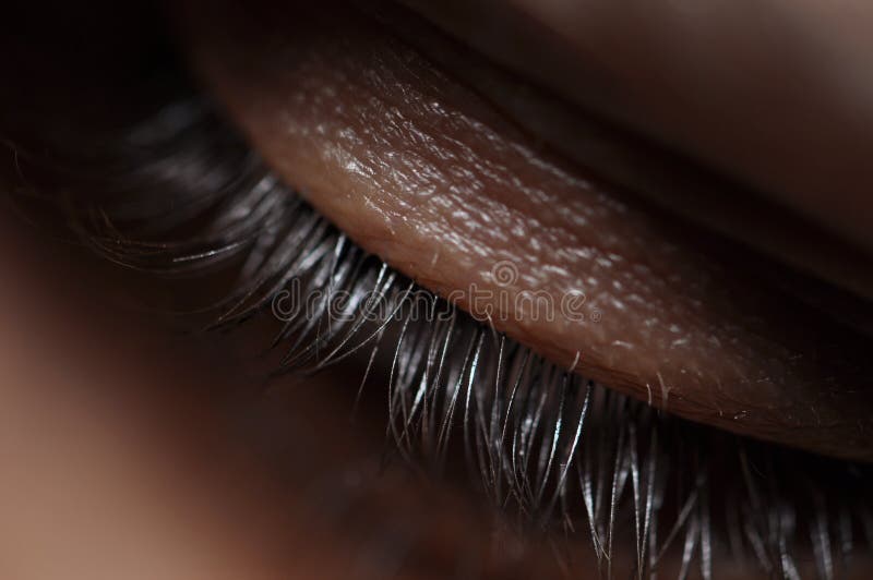 Eye Lashes stock image. Image of detailed, male, adult - 24372865