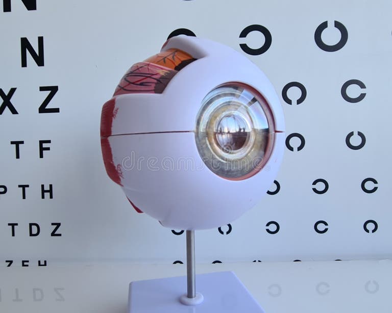 Eye Layout and Ophthalmologist Table for Checking Vision Stock Photo ...