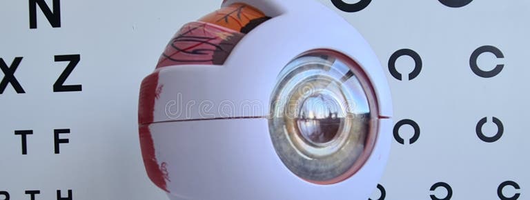 Eye Layout and Ophthalmologist Table for Checking Vision Stock Photo ...