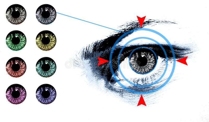 Eye Lens Shade Chart Stock Photos - Free & Royalty-Free Stock Photos ...