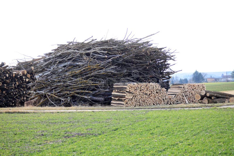 Eye-level Shot of Big Stacks of Chopped Twigs and Logs Stock Photo ...