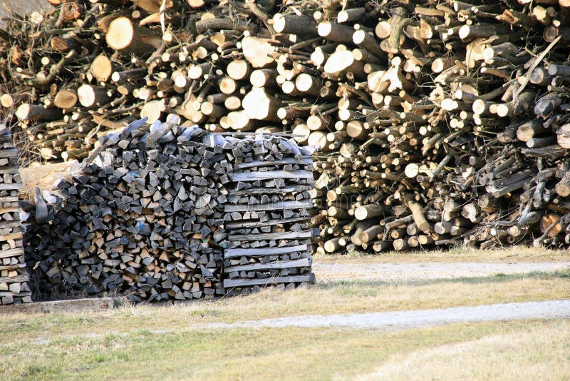 Eye-level Shot of Big Stacks of Chopped Twigs and Logs Stock Image ...