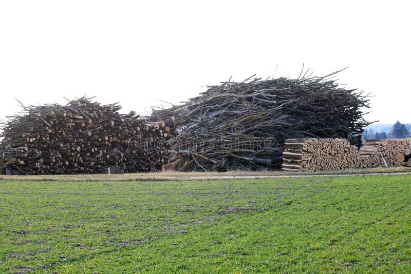Eye-level Shot of Big Stacks of Chopped Twigs and Logs Stock Photo ...