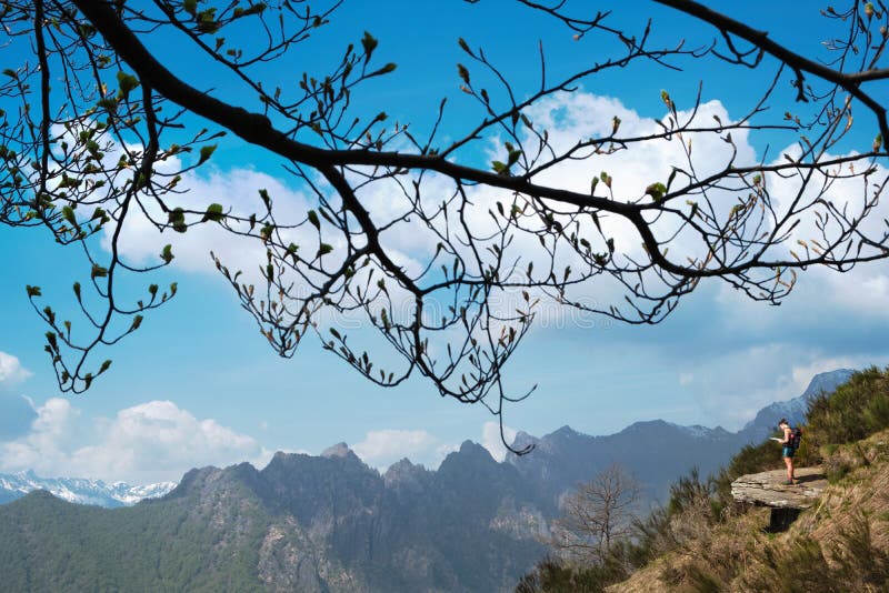 Eye-level Shot of a Hiker on a Cliff Looking at a Map with Tree ...