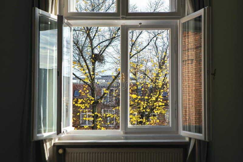 Eye-level Shot of an Open Window Looking at a Tree with Yellow Leaves ...
