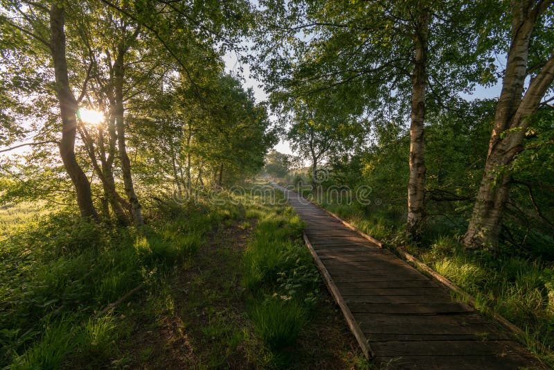 Eye-level Shot of a Yurt in a Field Near a Lake Stock Image - Image of ...