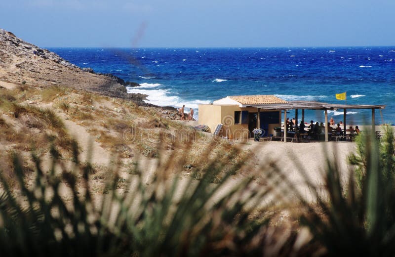 Eye-level Shot of People Gathered Around the Table Under the Shade in a ...