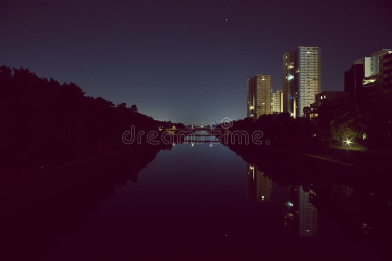 Eye-level Shot of a River Surrounded by Trees and High Buildings at ...