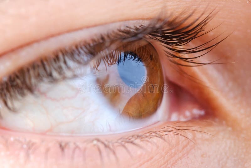 Eye Macro Iris Eyebrow Beautiful, Vision Stock Photo - Image of long ...