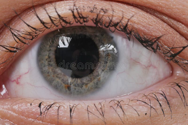 Eye Macro. Woman Eye. Macro Image of Human Eye Stock Image - Image of ...