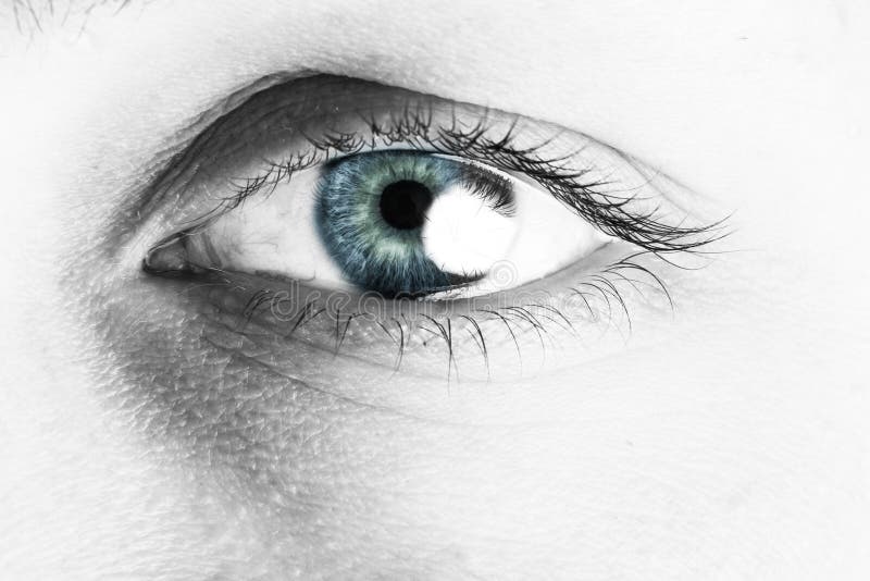Eye stock photo. Image of adult, contact, grey, makeup - 33480764