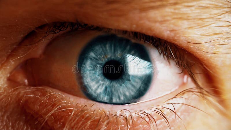 The eye of a man stock image. Image of color, iris, person - 196211621