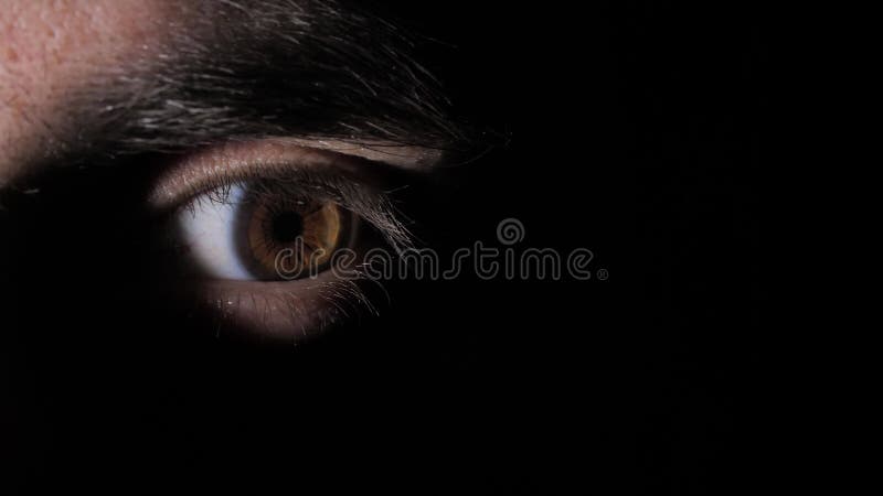 Eye of a scared man stock video. Video of watch, eyeball - 235510215