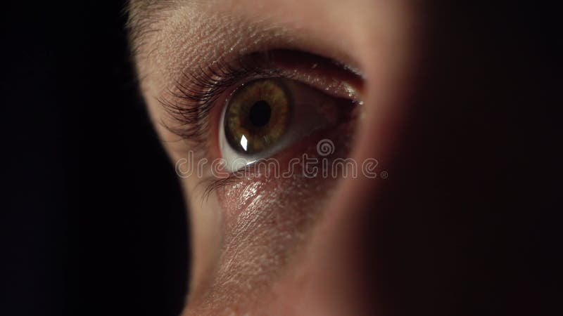 The Eye of a Man Looking at a Computer Screen Stock Video - Video of ...