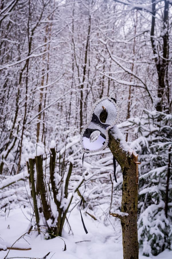 Eye mask in the winter stock image. Image of wood, season - 48433923