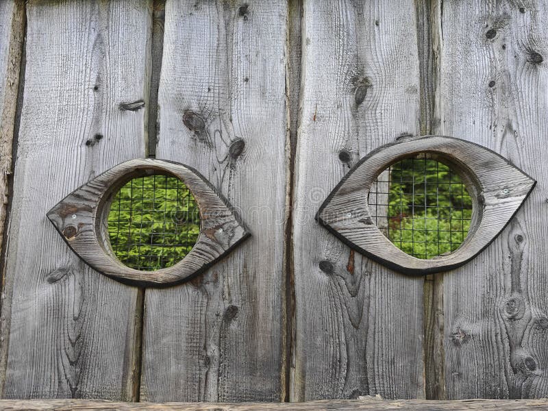 Eye,organ for Visual Perception Stock Photo - Image of angle, health ...