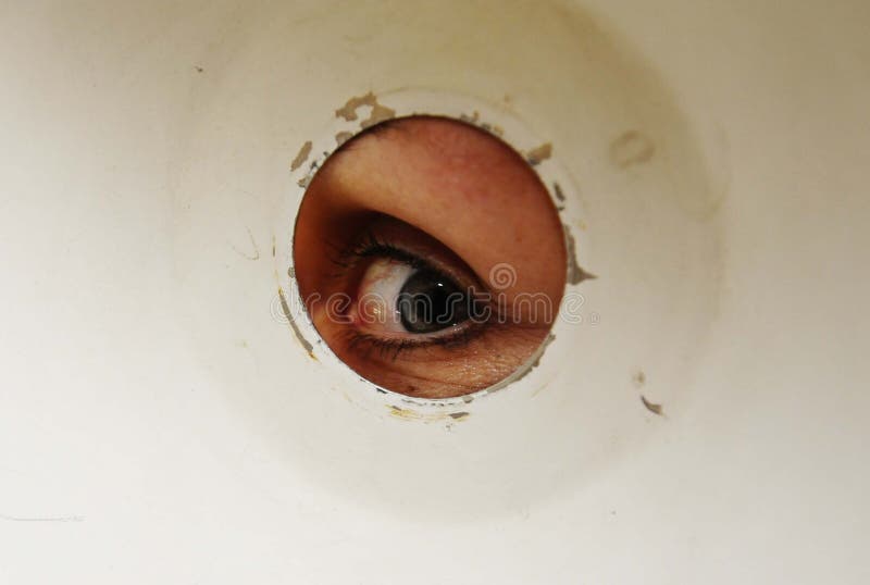 Eye, Organ of the Visual System Stock Photo - Image of eyesight, gaze ...