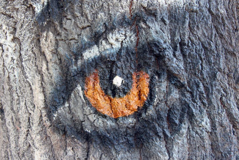 Eye stock image. Image of tree, vision, sight, pupil - 137601979