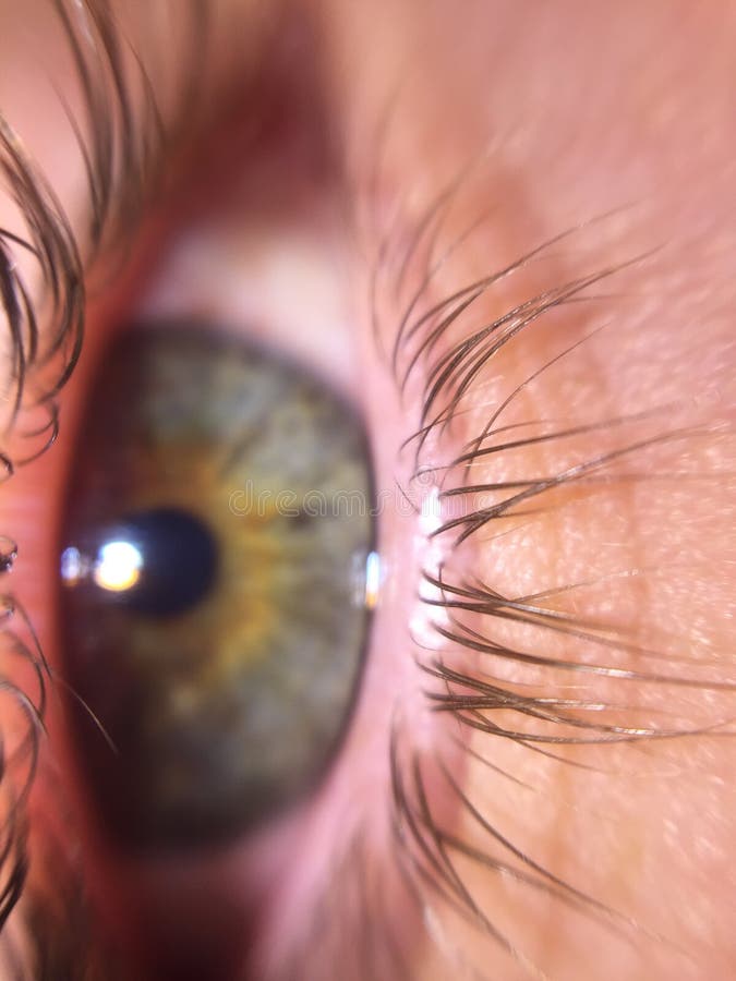 Lots of focus stock photo. Image of lenses, smart, glass - 9675382