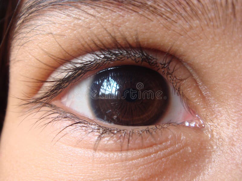 Eye Reflects a Window stock image. Image of socket, reflect - 11287141