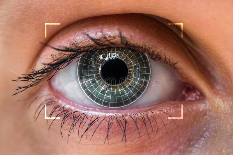 Eye Scanning and Recognition - Biometric Identification Concept Stock ...