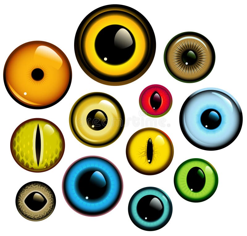 Animal eyes big vector set stock vector. Illustration of eyelens - 37184091