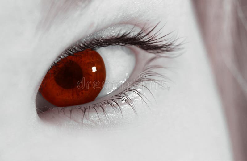 The eye of the vampire stock photo. Image of close, evil - 80878