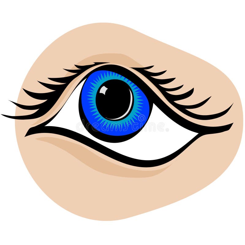 Eye Vector Cartoon Detailed Stock Vector - Illustration of lash, female ...