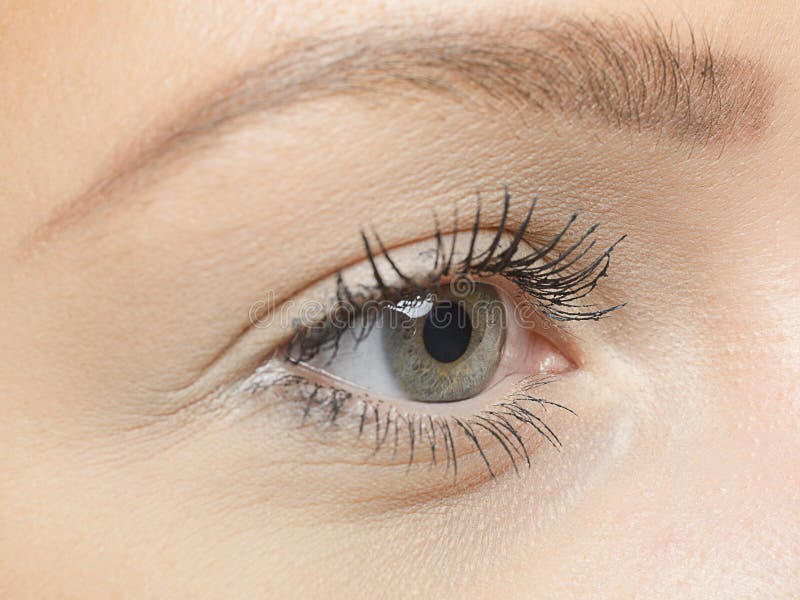 140 Very Sharp Detail Macro Eye Stock Photos - Free & Royalty-Free ...