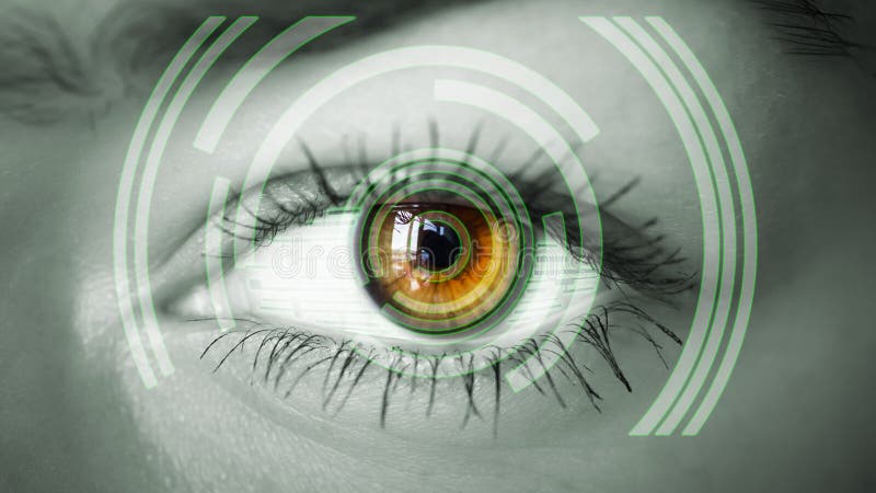 Eye Viewing Digital Information. Stock Photo - Image of attractive ...