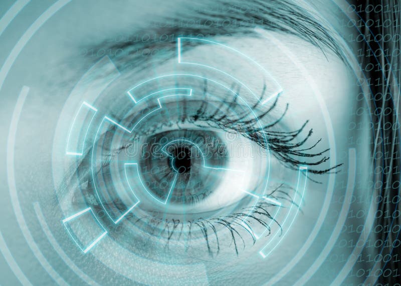 Eye Viewing Digital Information. Stock Image - Image of biometric ...