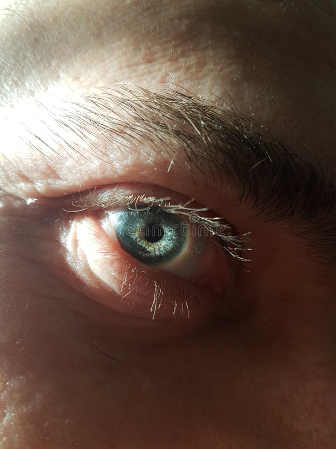 Eye stock image. Image of world, oeye - 87502663