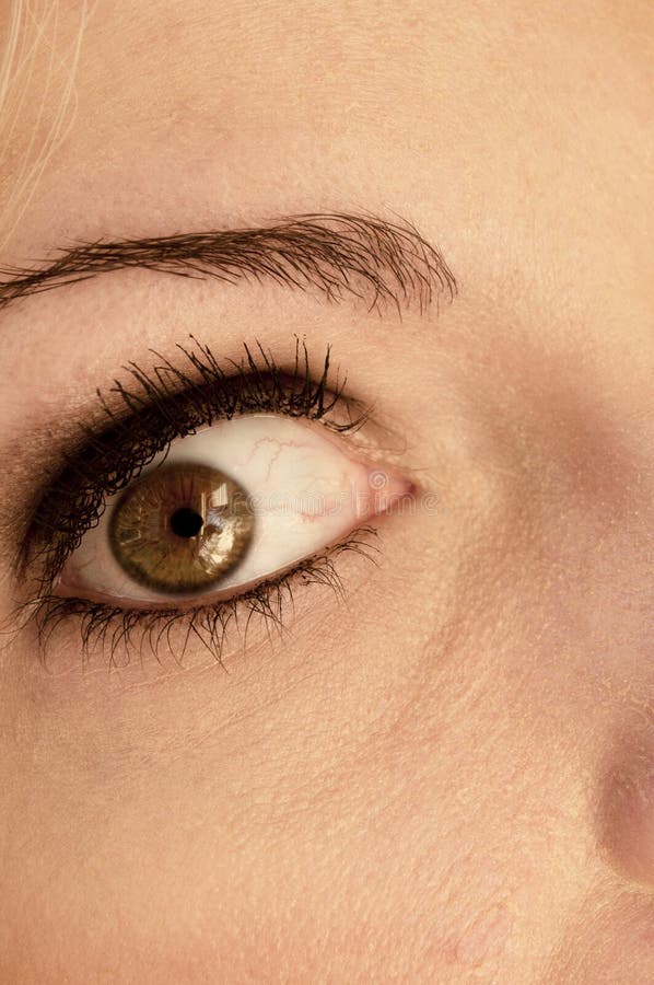 Eye wide open stock image. Image of macro, eyebrow, open - 36529121