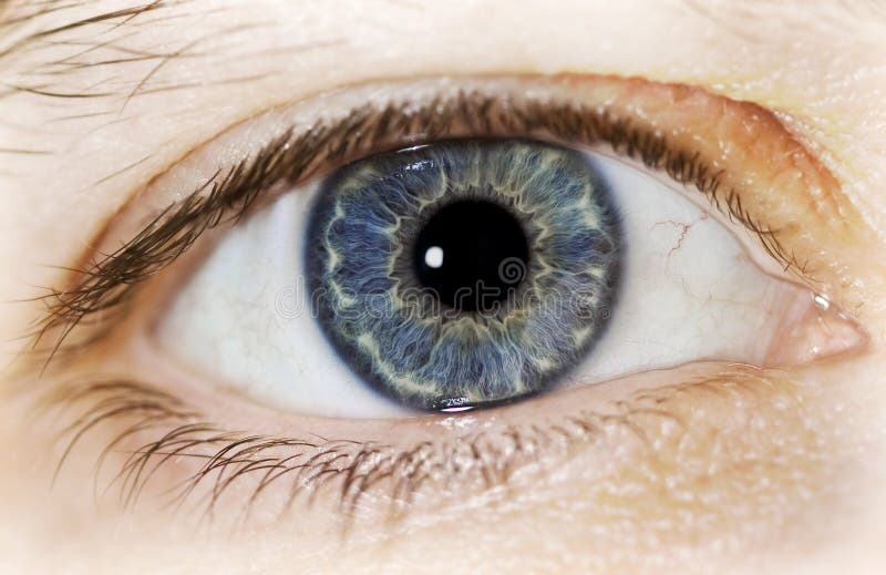 The Eye - Window To the Soul Stock Photo - Image of detailed, blue ...