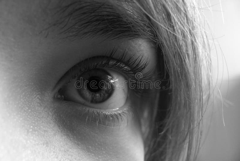 Eye stock photo. Image of fuzzy, details, young, eyebrow - 52423948