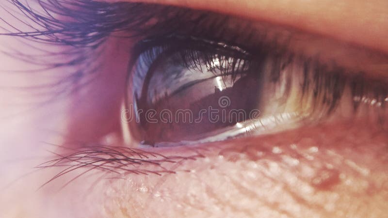 Eyes are Windows To the World Stock Image - Image of forehead, mouth ...