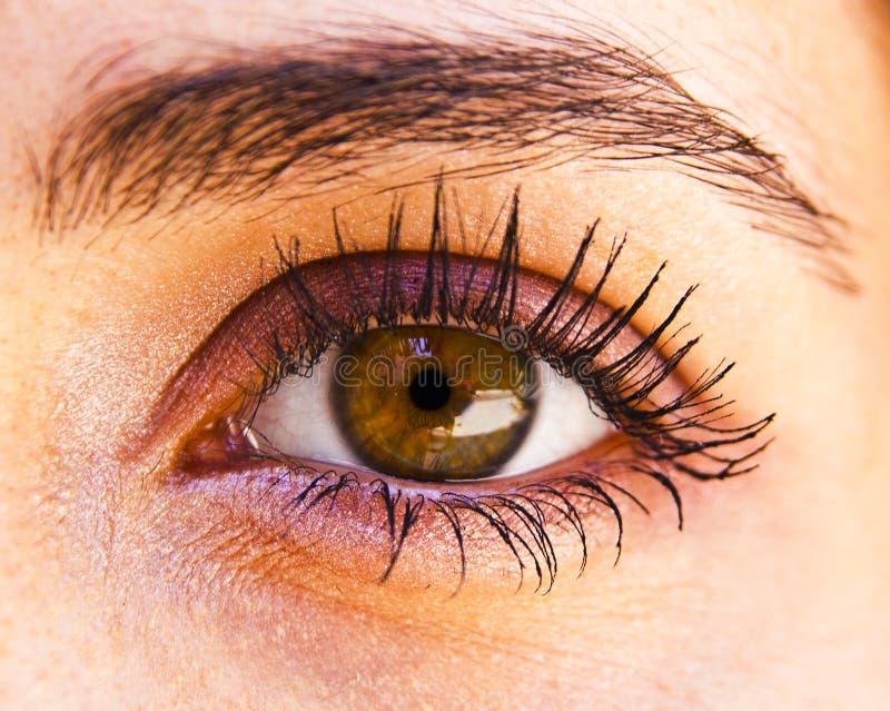 Eyeball stock photo. Image of colo, look, attractively - 19731656