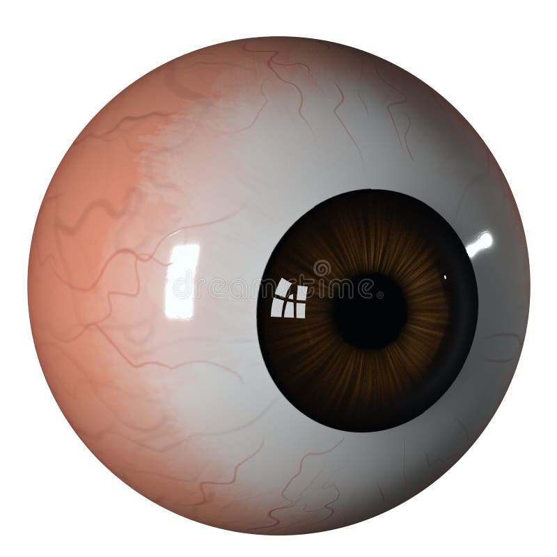 Eyeball Side Stock Illustrations – 306 Eyeball Side Stock Illustrations ...