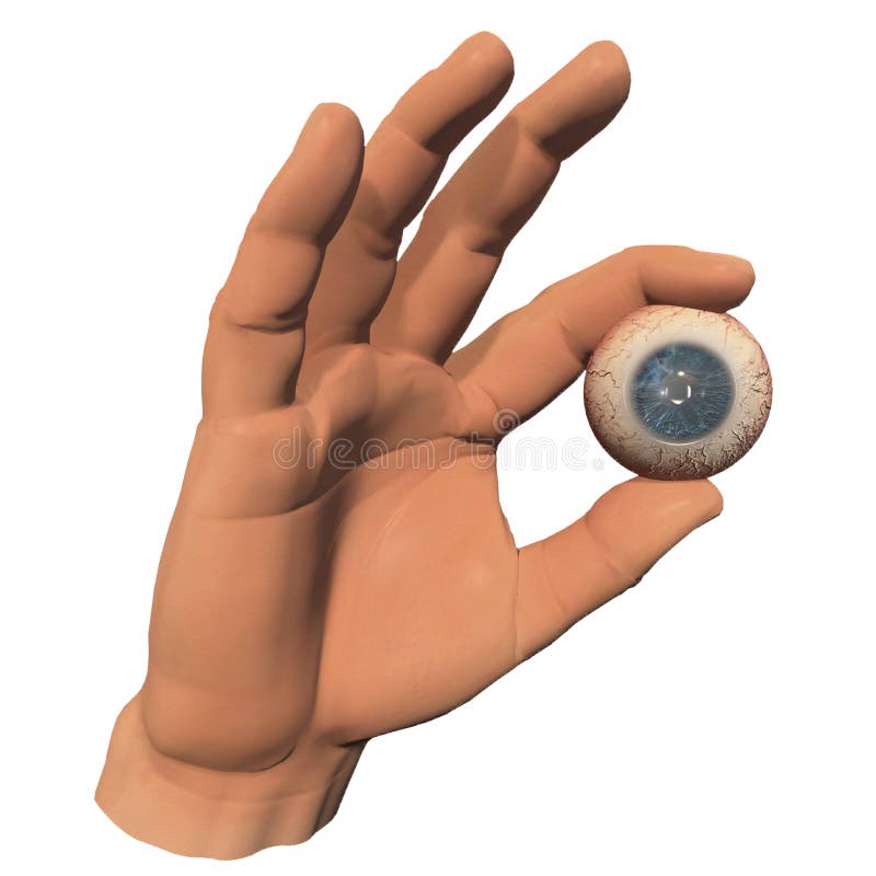 Eyeball isolated 3d model stock illustration. Illustration of eyeball ...