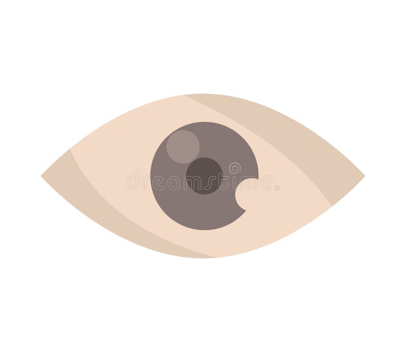 Eyeball vision icon stock vector. Illustration of lens - 262766570