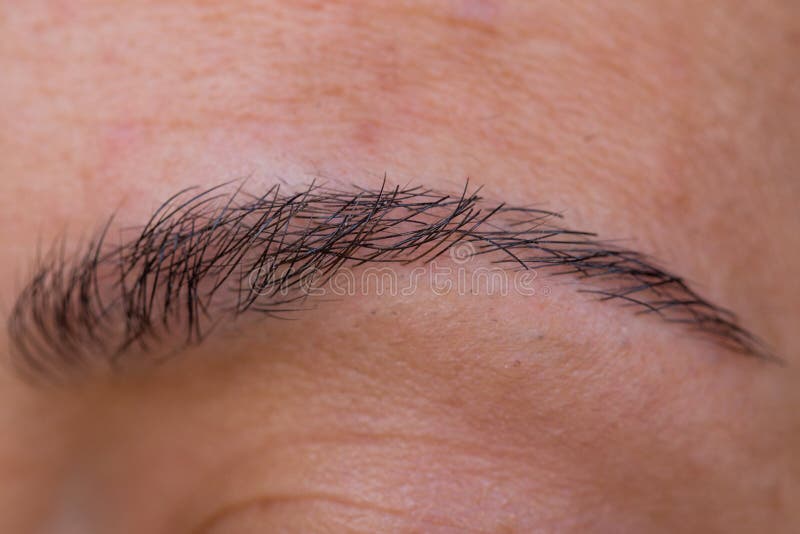 Human Eye and Eyebrow Close-up Stock Photo - Image of beauty, male ...