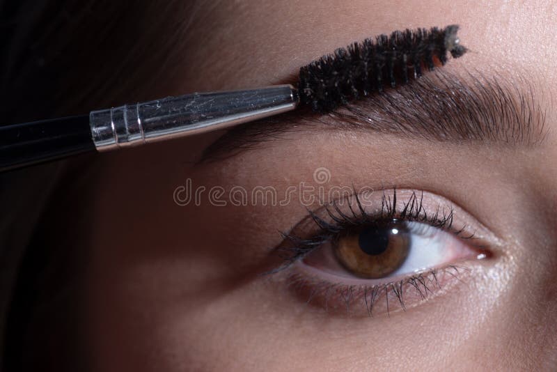 Eyebrow Makeup. Professional Care for Brows, Coloring and Lamination ...