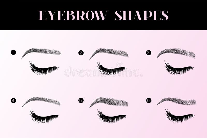 Eyebrow Shapes Chart with Brow Types Stock Vector - Illustration of ...