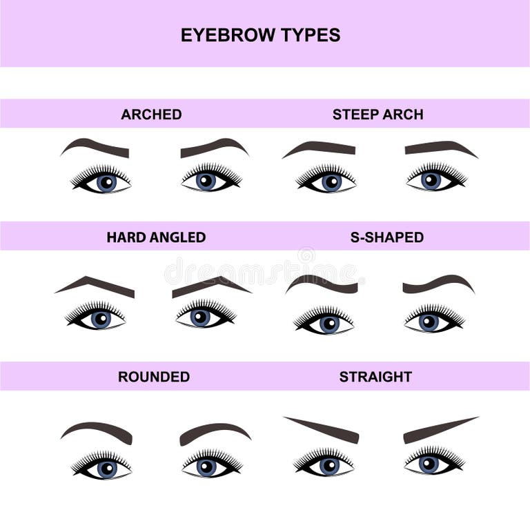 Eyebrow Shapes, Eyebrow Guide, Vector Illustration, Tutorials Stock ...