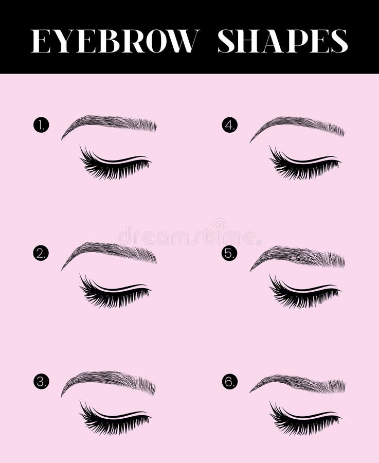 Eyebrow Shapes Illustration Stock Vector - Illustration of types, brow ...