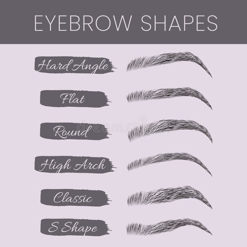 Eyebrow Shapes Types Illustration Stock Vector - Illustration of ...