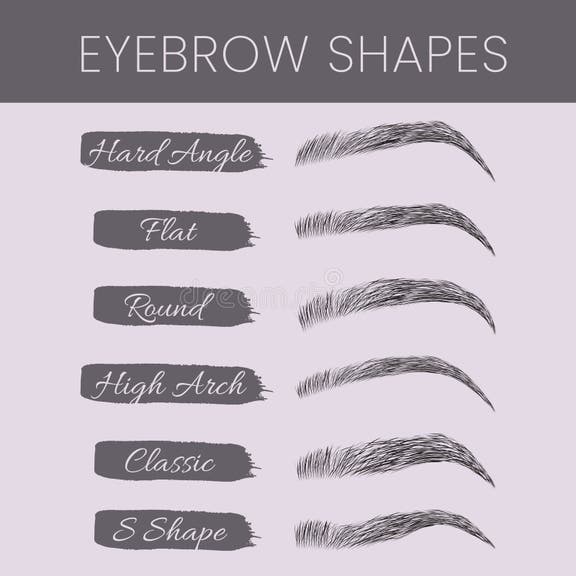 Eyebrow Shapes Types Illustration Stock Vector - Illustration of ...