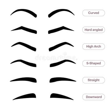 Eyebrow Shapes Stock Illustrations – 623 Eyebrow Shapes Stock ...