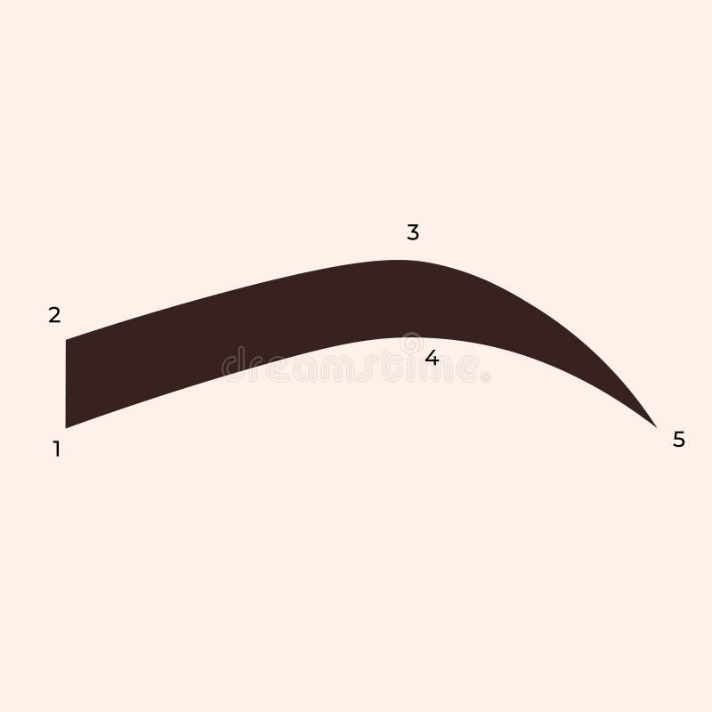 Eyebrows Shaping and Coloring. Points of Perfect Eyebrow Shape Stock ...